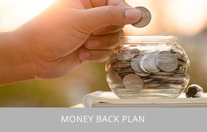 Money Back Plan | Life Insurance